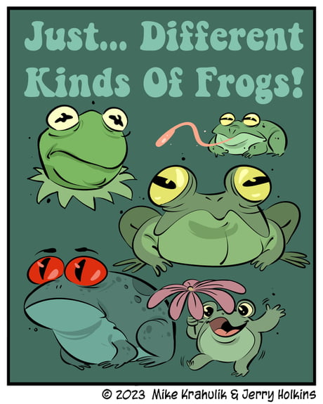 Best Funny frogs Memes - 9GAG