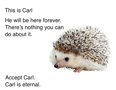 Best Funny carl Memes - 9GAG