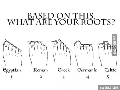 Ancestry Toe Chart