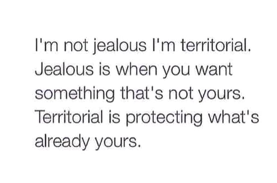 Finally... An accurate description - 9GAG