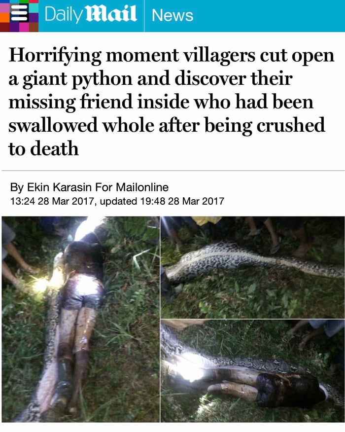 Akbar Salubiro, 25, was cut out from the stomach of a seven-metre long ...