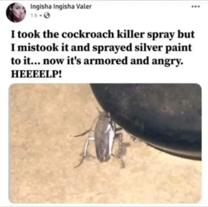 Silver Cockroach. Has a 5% chance of spawning instead of a Normal ...