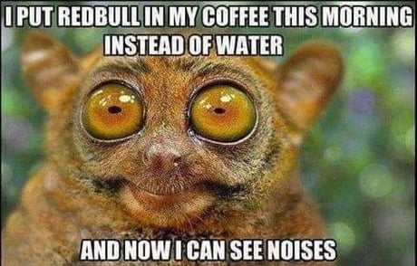 Best Funny red bull Memes - 9GAG