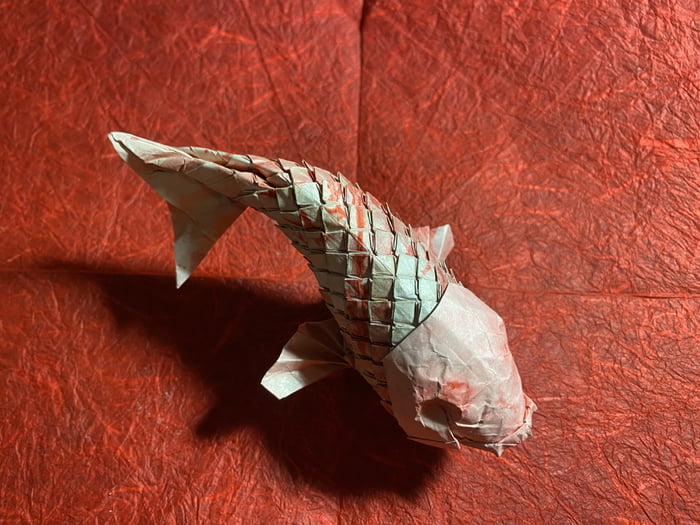Origami daily#6: Koi Made with a 35x35cm sheet of homemade sandwich ...