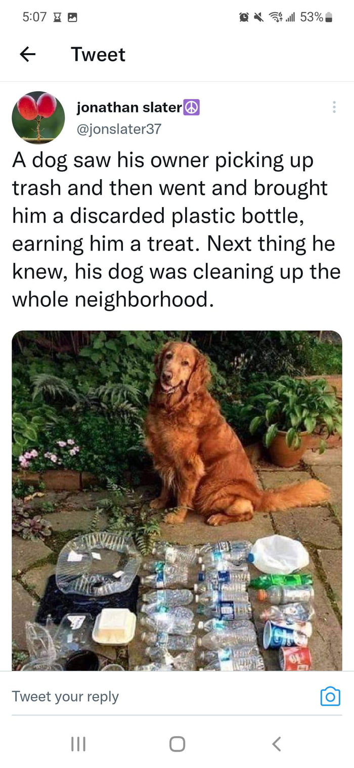 THE GOODEST BOI - 9GAG