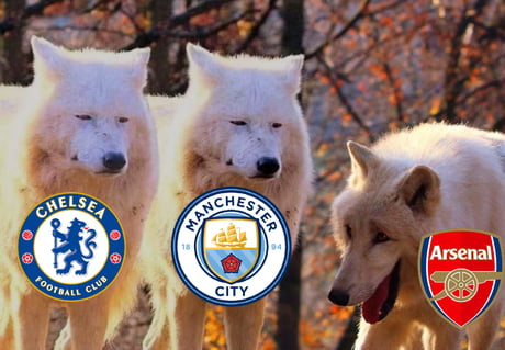 Best Funny arsenal Memes - 9GAG