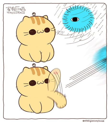 Best Funny typhoon Memes - 9GAG