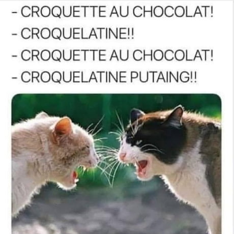 Best Funny chat Memes - 9GAG