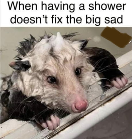 Best Funny meow meow Memes - 9GAG