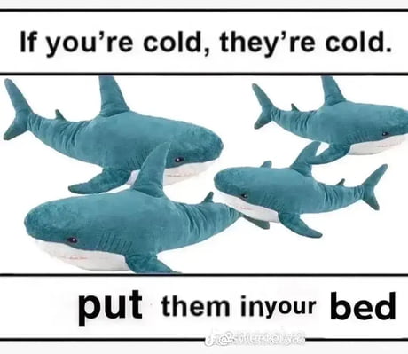 Blahhh Memes Blahh YouTube
