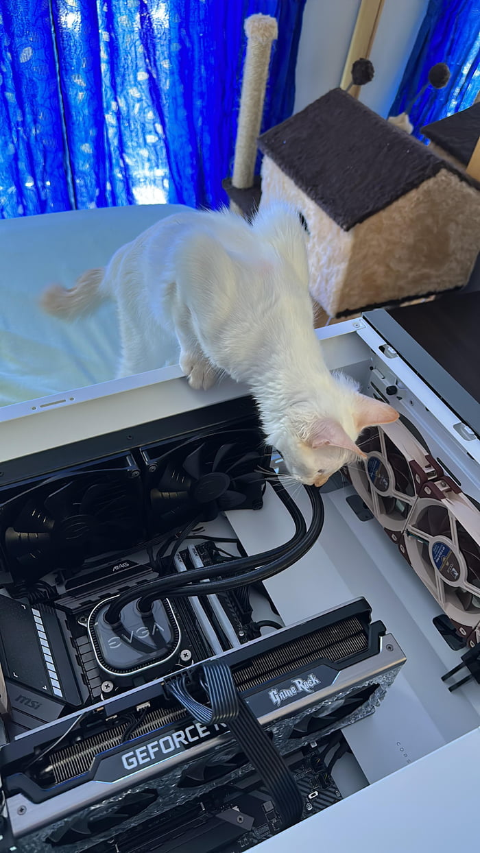 Computer technician cat - 9GAG