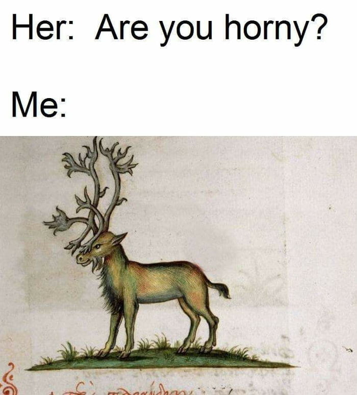 Always horny - 9GAG