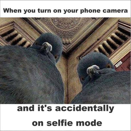 Best Funny front camera Memes - 9GAG
