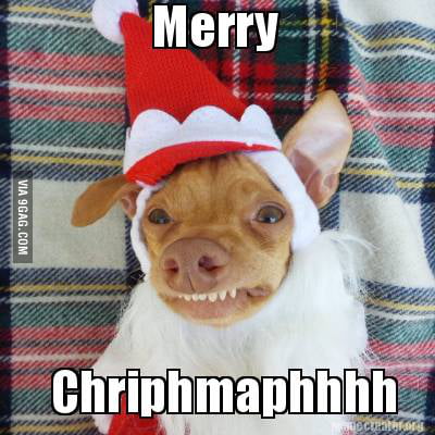 Phteven Dog Christmas