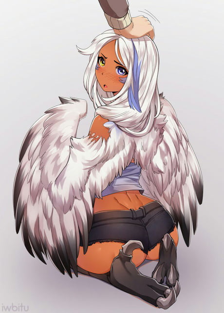 Anime Harpy 1148
