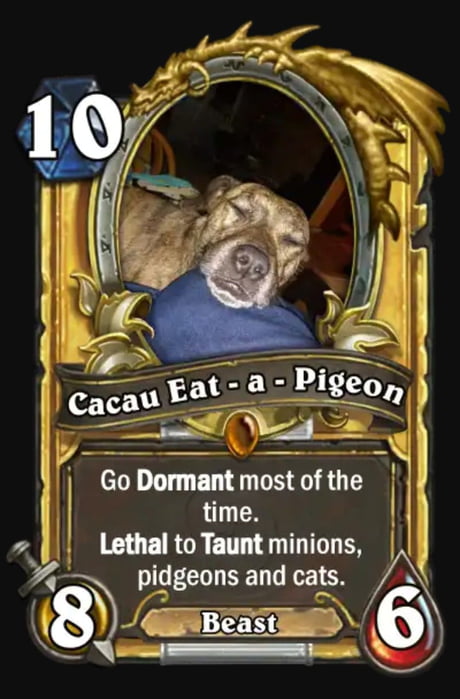 Hearthstone Card Memes