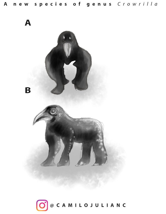 The Internet Tries To Explain This Buff Gorilla Crow - 9GAG