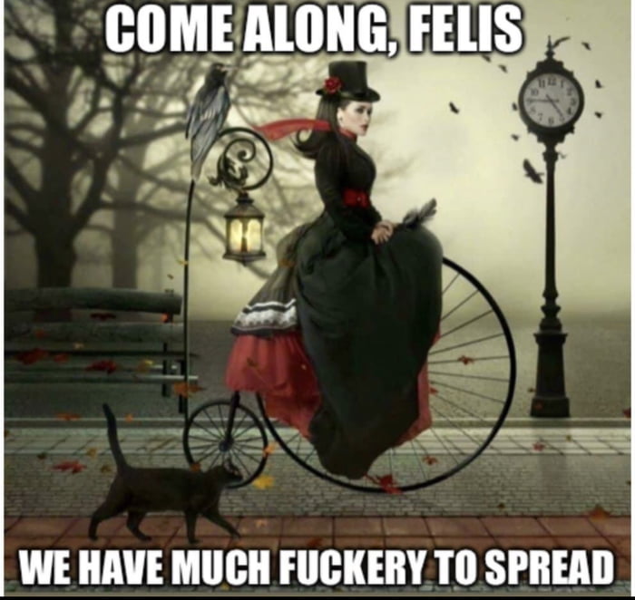 Make haste Felis!!! - 9GAG