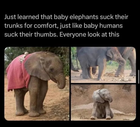 customer support - 9GAG