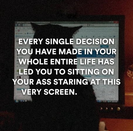 Best Funny funny cat Memes - 9GAG