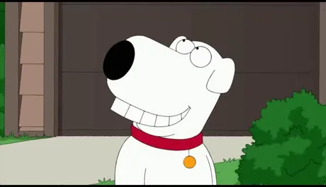 Family Guy Brian Memes