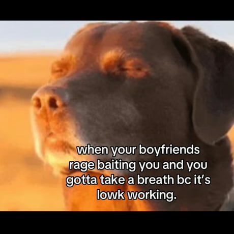 Best Funny ragebaiting Memes - 9GAG