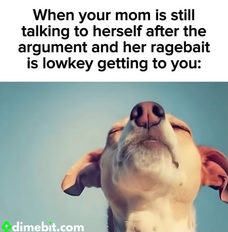 Memes About Argument