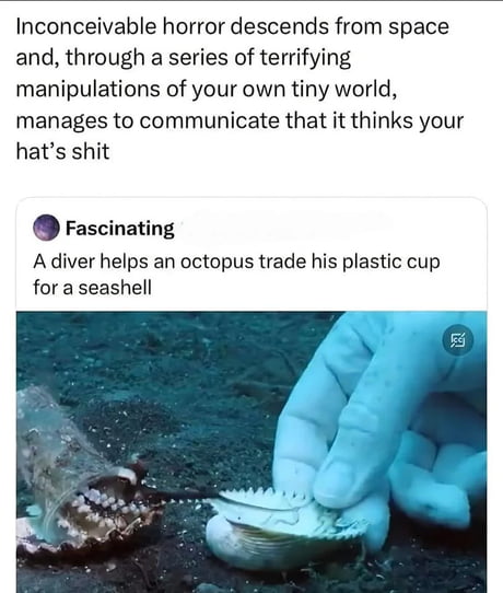 Best Funny octopus Memes - 9GAG