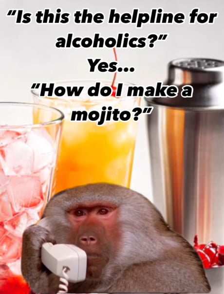 Memes Cocteles