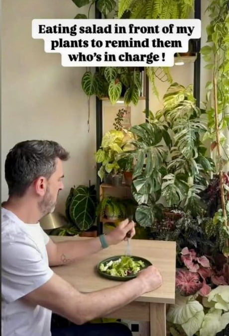 Best Funny salad Memes - 9GAG