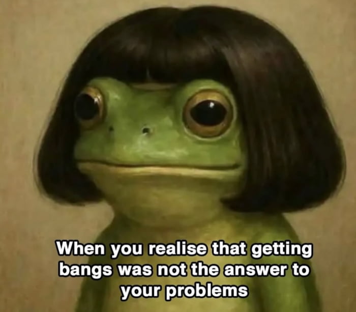 Getting bangs was not the answer to my problems - 9GAG