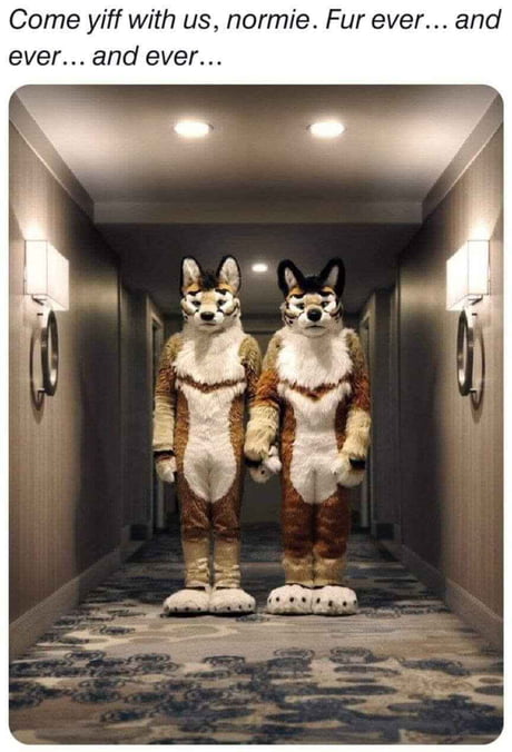 Best Funny furry Memes - 9GAG