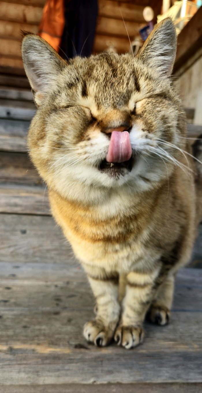 Mlem - 9GAG