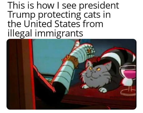 Next Time Gadget Memes