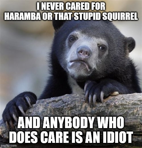 F*ck Harambe and that squirrel - 9GAG