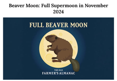 Best Funny beaver Memes - 9GAG