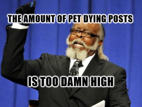 Best Funny dying Memes - 9GAG