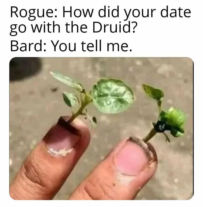 When you're a bard and like finger things... - 9GAG