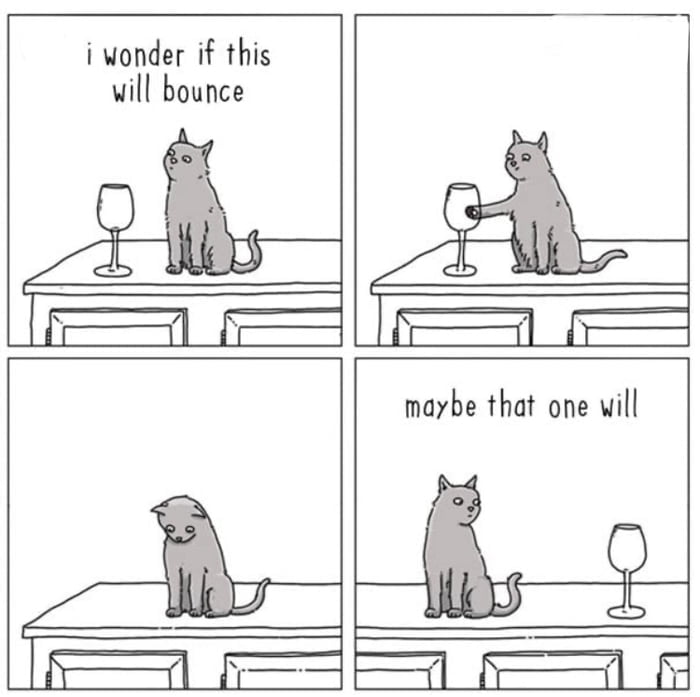 The real reason why cats throw everything down - 9GAG