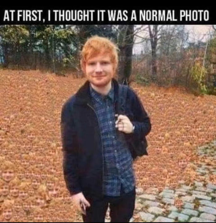 Think this is a normal photo? Look again - 9GAG