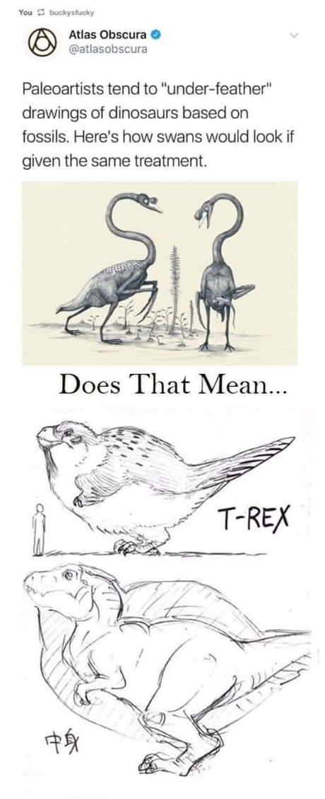 Best Funny t rex Memes - 9GAG