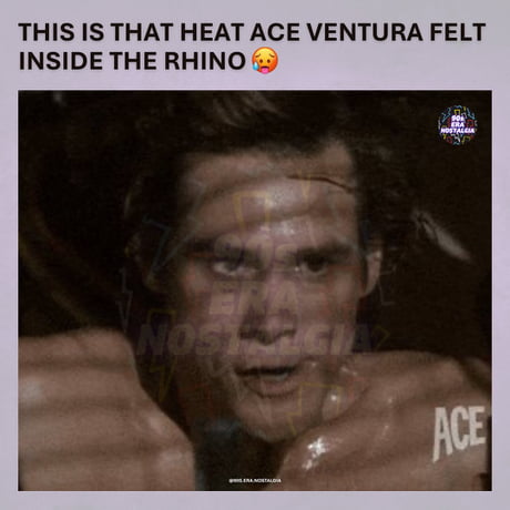 Memes De Ace Ventura