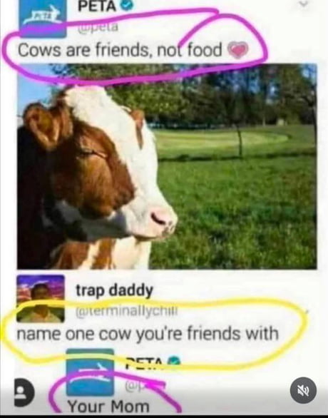 Best Funny peta Memes - 9GAG