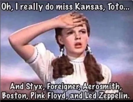 Best Funny toto Memes - 9GAG