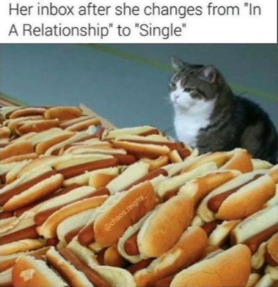 Best Funny weiner Memes - 9GAG