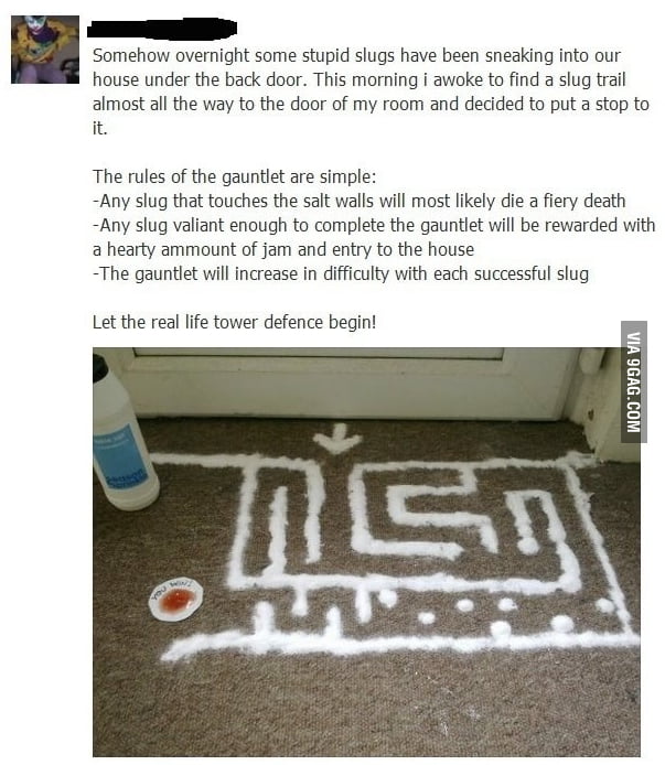 Salt maze - 9GAG