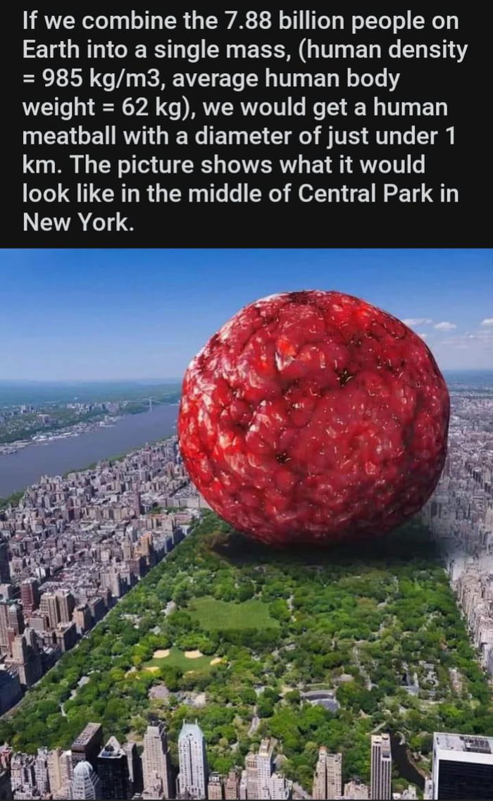 Humanity meatball. Scourge of Central Park. - 9GAG