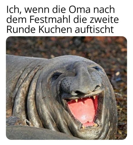 Best Funny Oma Memes 9gag