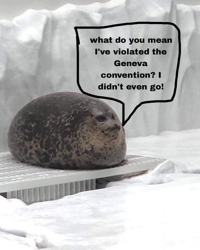 Seal is round - 9GAG