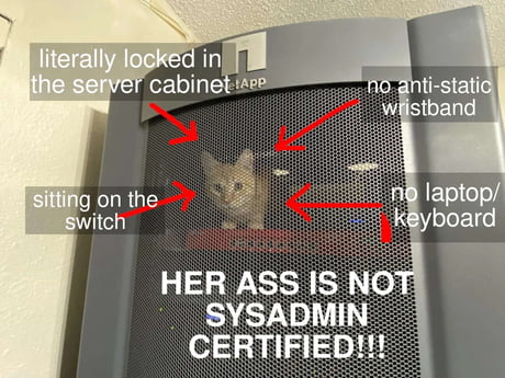 Best Funny sysadmin Memes - 9GAG